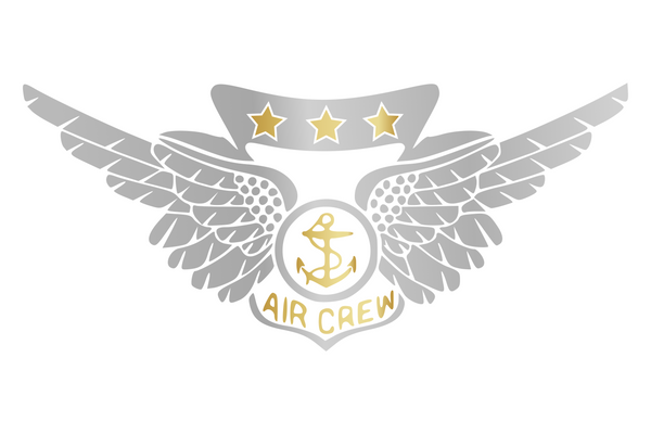 Combat Aircrew Badge
